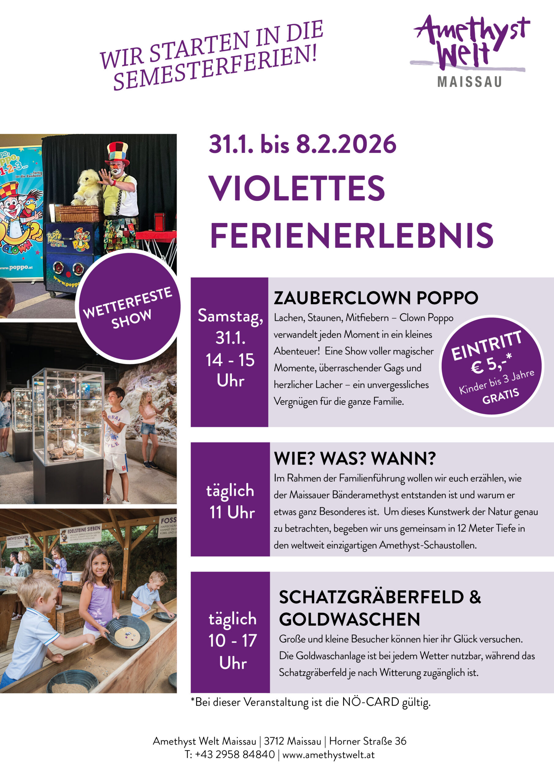 VIOLET HOLIDAY EXPERIENCE January 31–February 8, 2026 – Amethystwelt